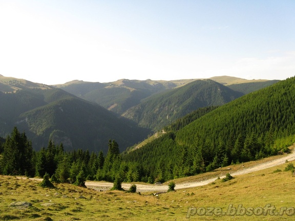 Cheile Oltetului - soseaua cu vedere spre lacul Petrimanu din platoul ...