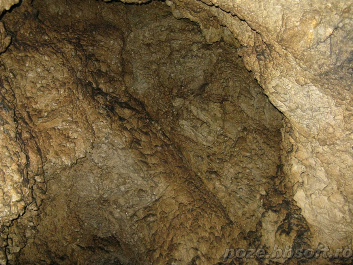 Geologie si arheologie > Pesteri > Pestera Valea Cetatii Rasnov ...
