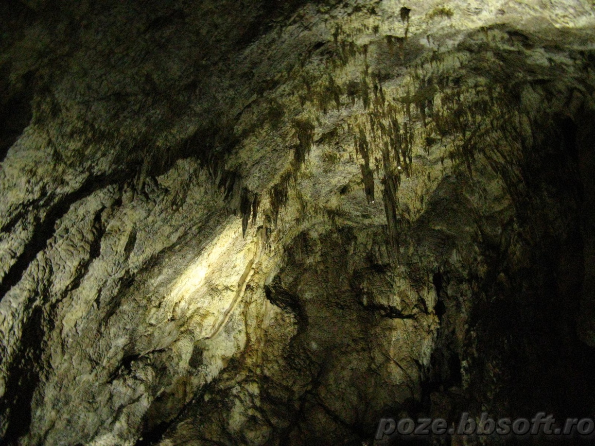 Geologie si arheologie > Pesteri > Pestera Valea Cetatii Rasnov ...